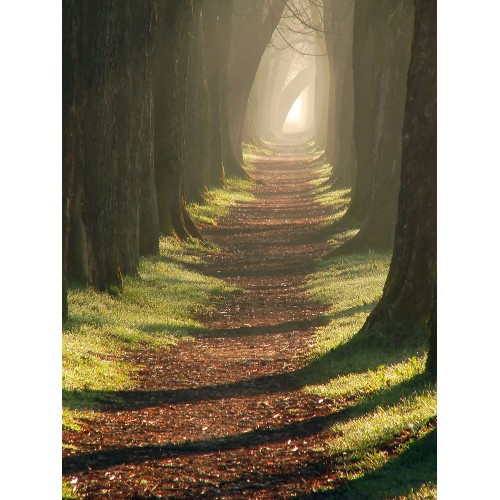 Roll Up Dispaly 1-teilig, Breite 85-120cm, Höhe 200-230cm und Motiv ...